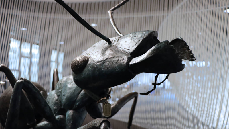 Attabotics’ home-grown Calgary success helps solve global logistics ...