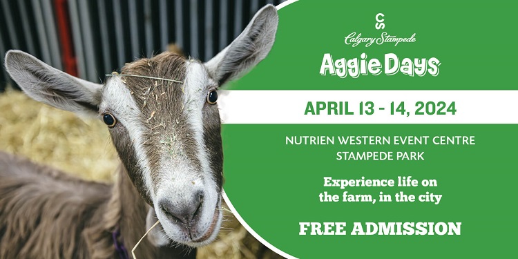 Calgary Stampede Aggie Days | Calgary Economic