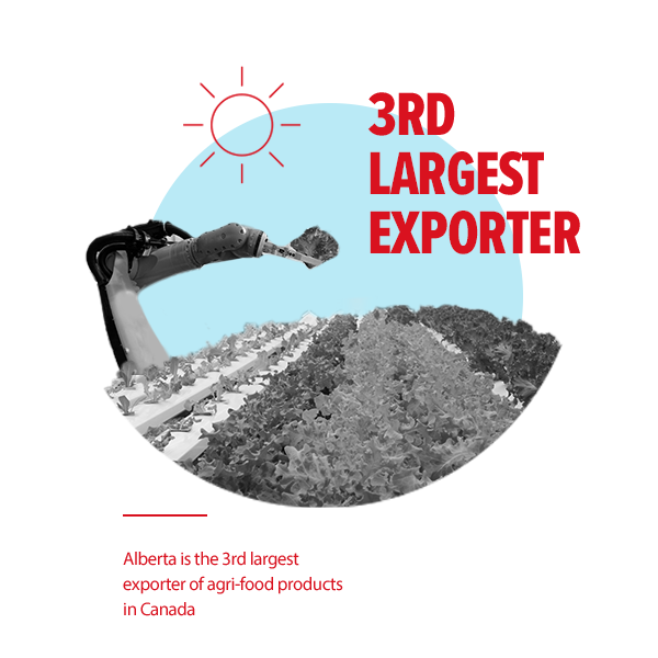 Agribusiness | Calgary is an agricultural base | Calgary Economic