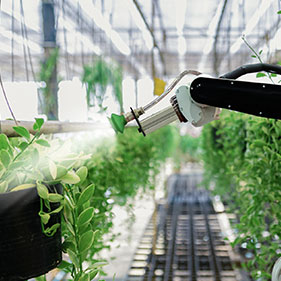 Innovators solving global challenges | Calgary Economic