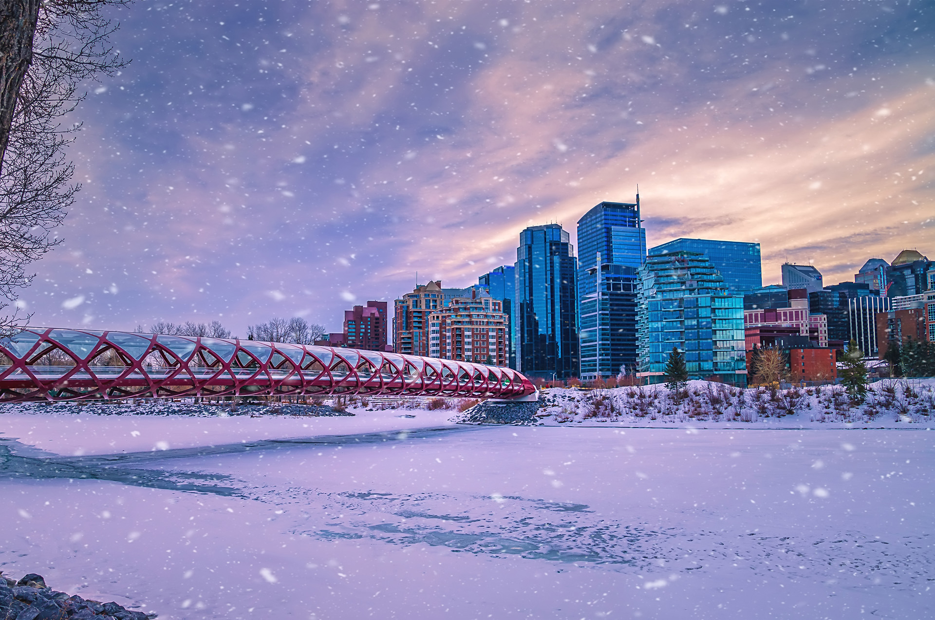 A year of momentum for Calgary | Calgary Economic