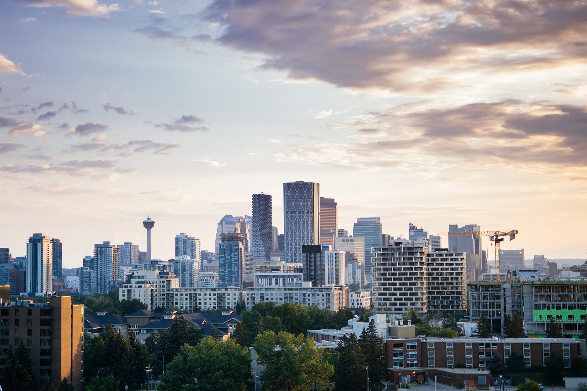 Request for Proposals: TalentED Matching Platform | Calgary Economic